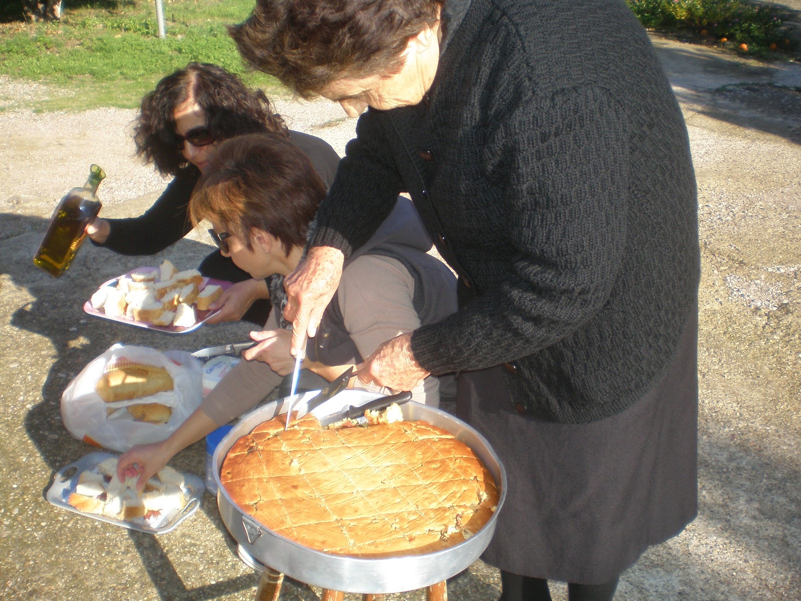 παιχνιδοκαμώματα στου νηπ/γειου τα δρώμενα: επίσκεψη σε ελαιώνα!!!!!