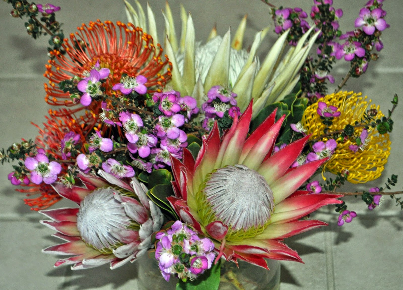 A Passion for Flowers: Lepto Rotundifolia