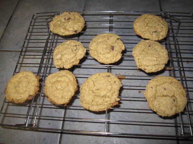 Endo Friendo: FOOD JOURNAL