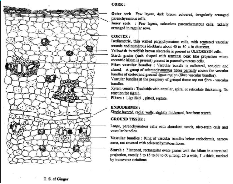 .: T.S & Their Characteristics