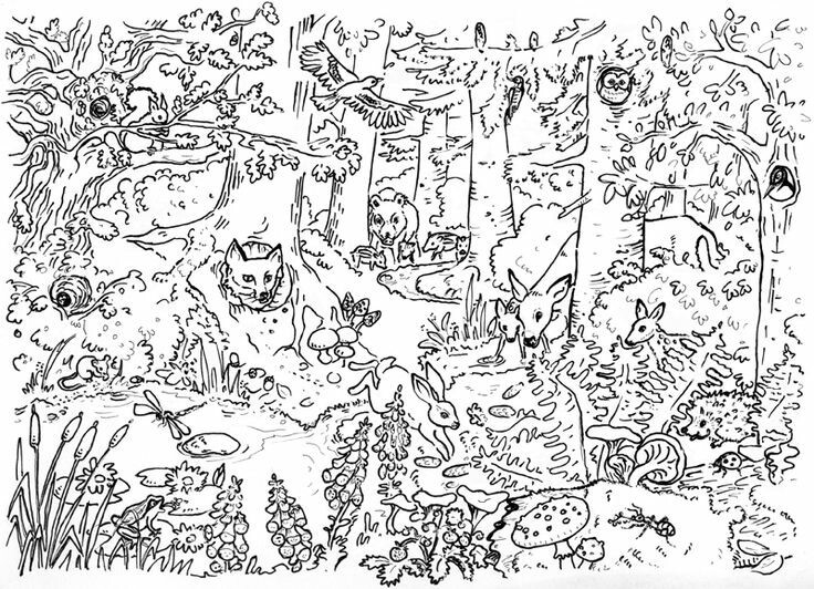 Autumn Coloring Pages For Kids Fun Tipss Und Vorlagen autumn-coloring-pages-for-kids-fun-tipss-und-vorlagen