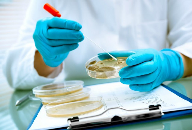 Materi dan Panduan Enumerasi Mikroba, Dilengkapi Gambar - Generasi Biologi