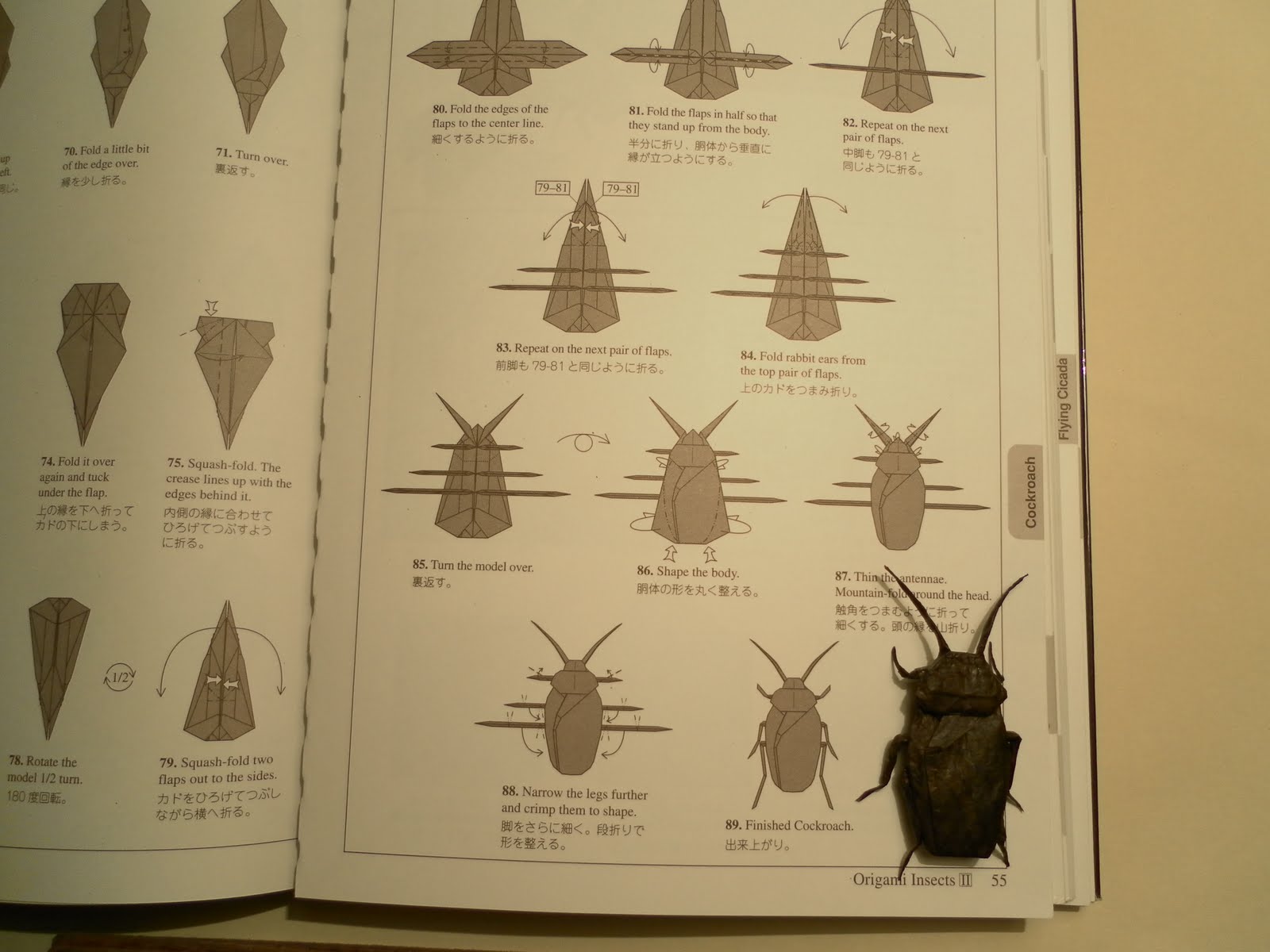 Mariano-Mi mundo el Origami: Cockroach (Cucaracha)