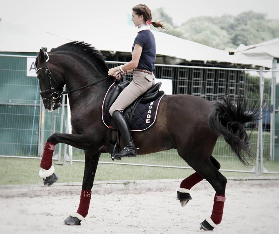 Haras du Coussoul: MISTRAL DU COUSSOUL A HICKSTEAD AU CDIO AVEC ALIZEE ...