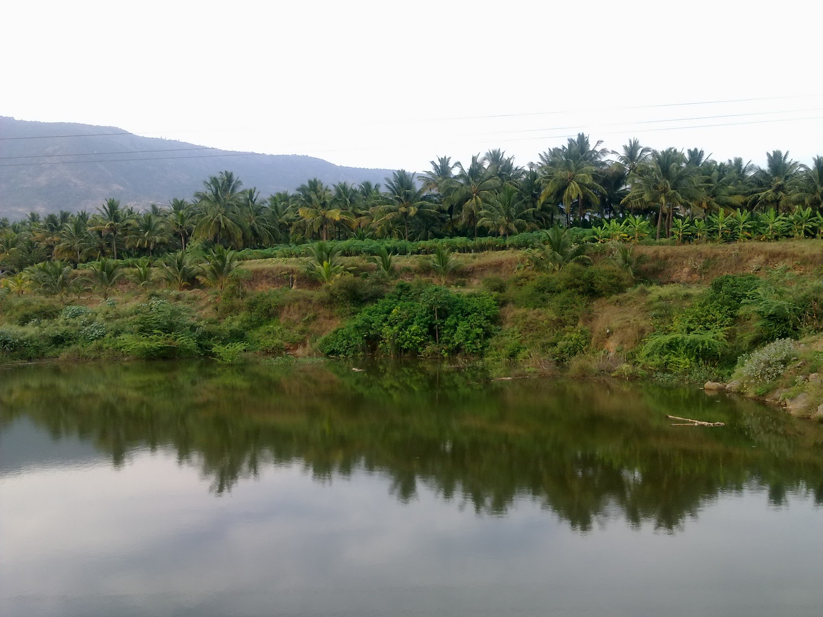 Gudalur (Theni)