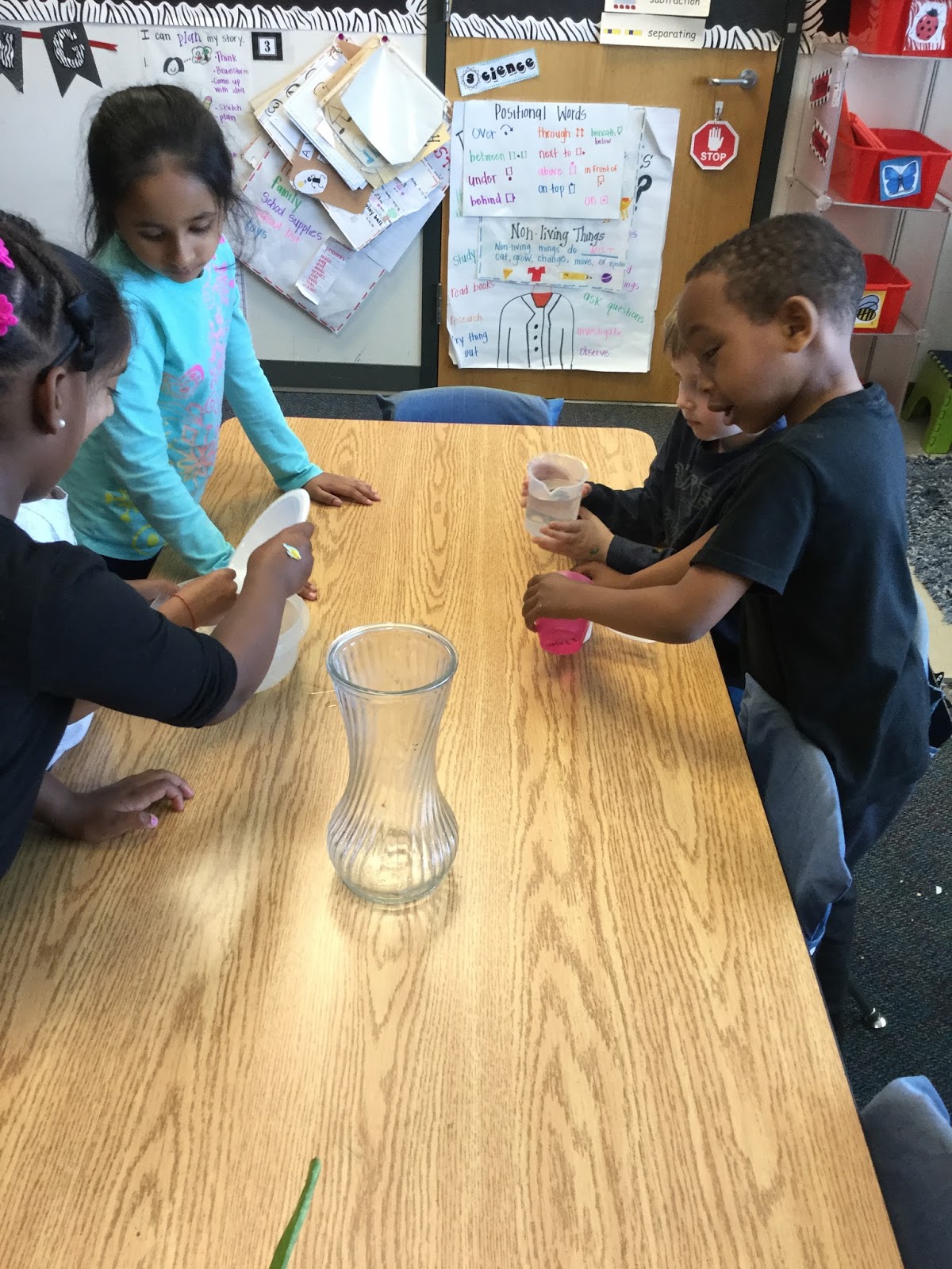 Mrs. Shelby's Kindergarten Class: Capacity