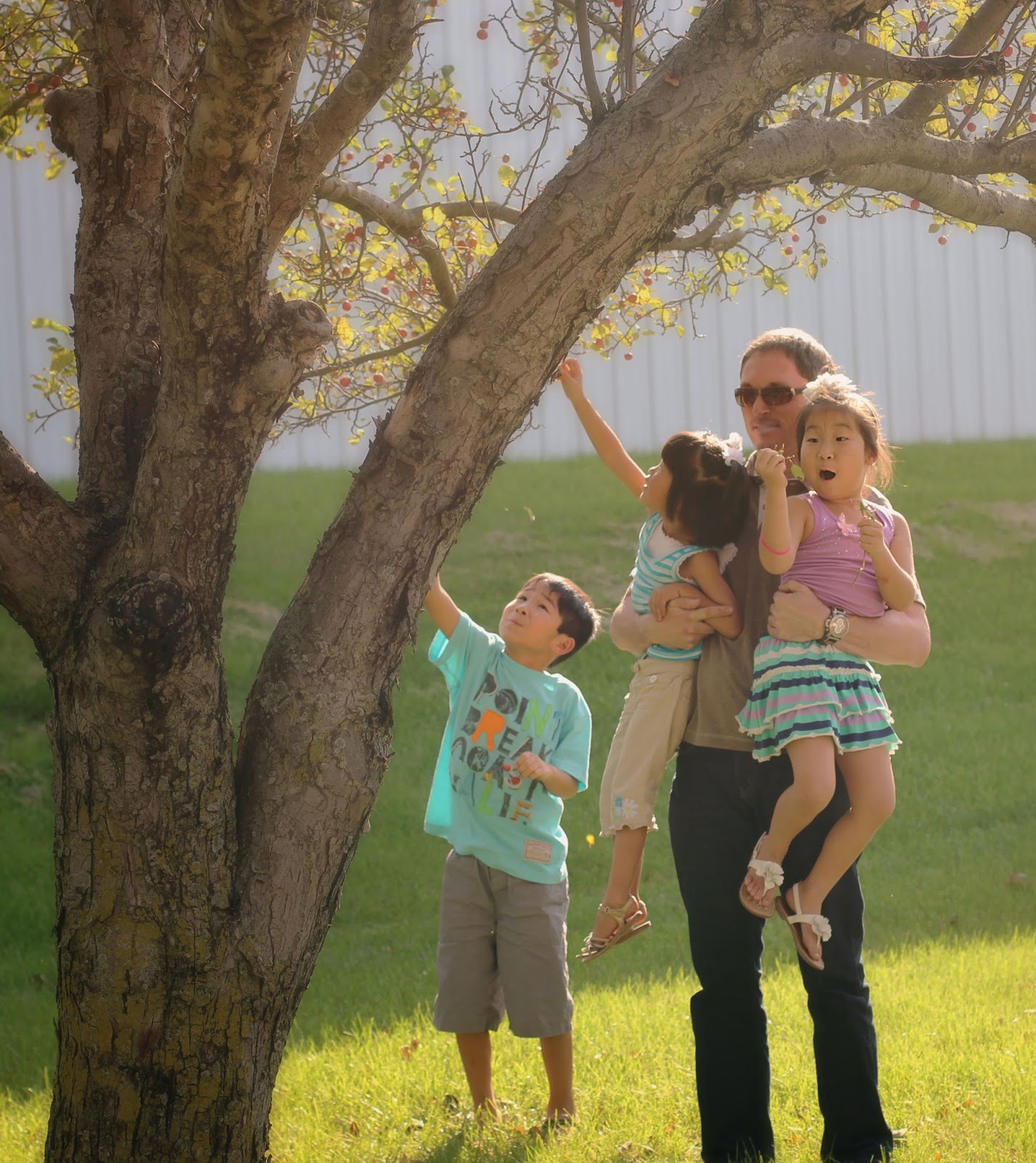 Is There Not A Cause