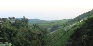 SEGORO GUNUNG KARANGANYAR, Keindahan Yang Tak Terlupakan - PLH Indonesia