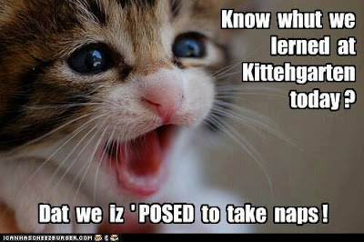 Nick's Bytes: Lots of Too Bad It's Monday Jokes, Cartoons, KATZ