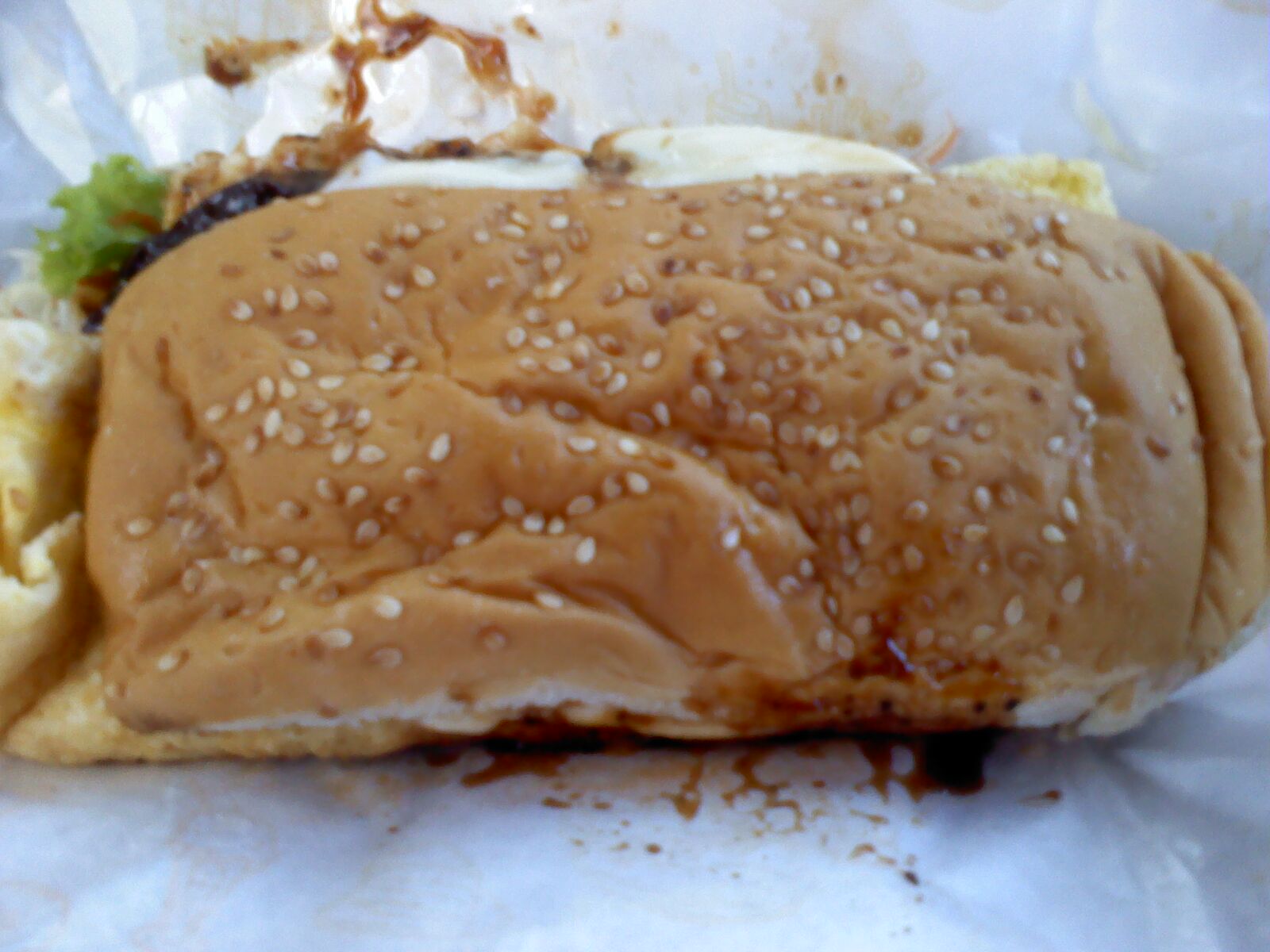 Hanya Kau Yang Satu......: Oblong daging yang spesel....