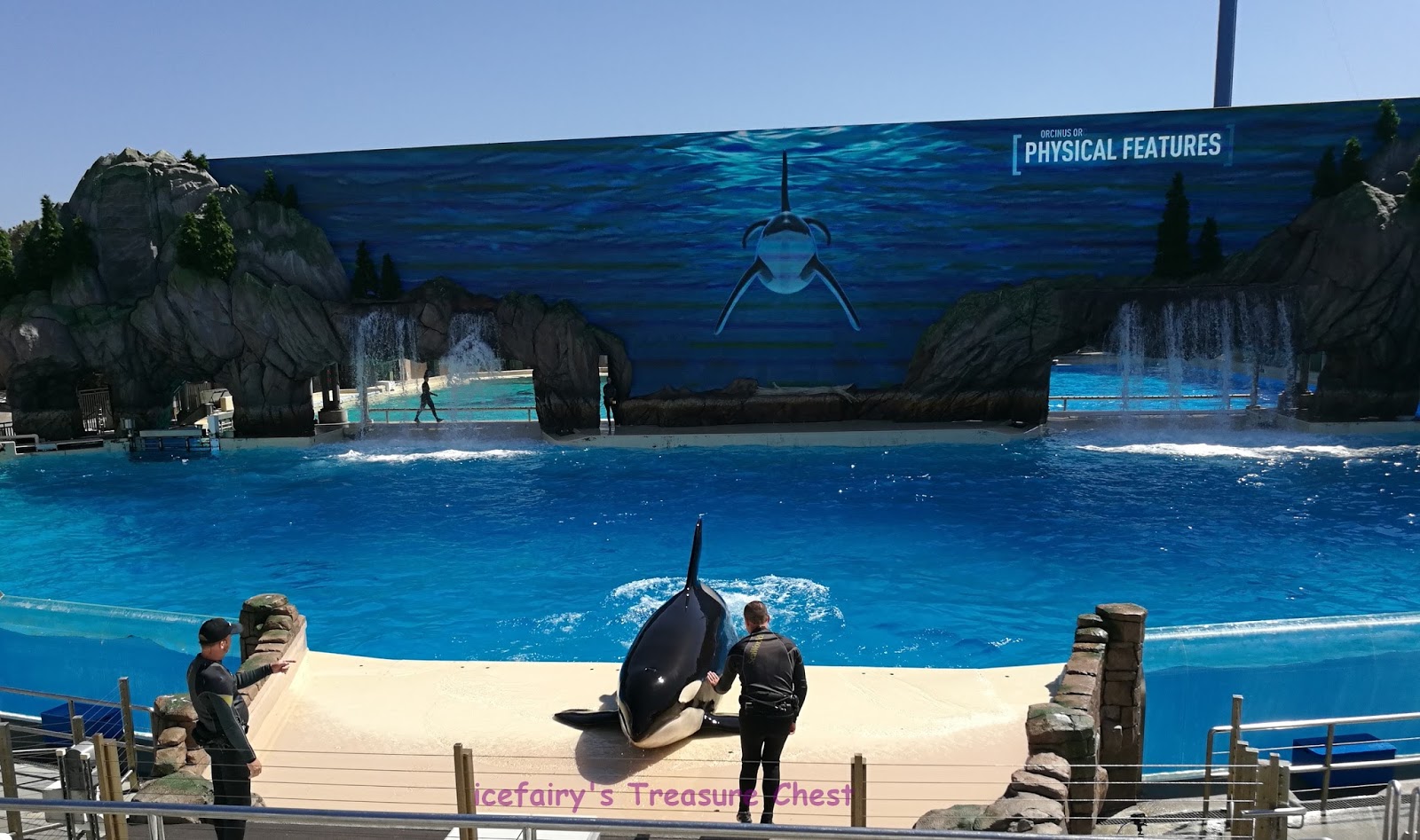 Go Behind the Scenes of New Attractions at SeaWorld & Family Four Pack ...