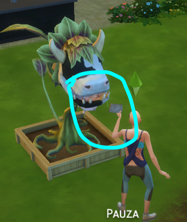 Świat Simów z Dawidem!: #7 The sims | WSZYSTKO O KROWOKWIECIE W THE ...