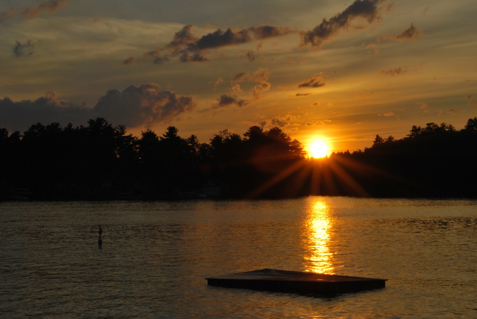 Matthew Fisher Photography
