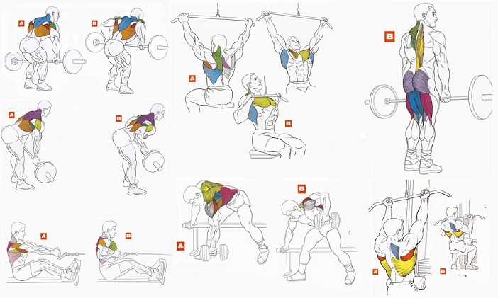 Best Back Exercises For Bodybuilding ~ multiple fitness