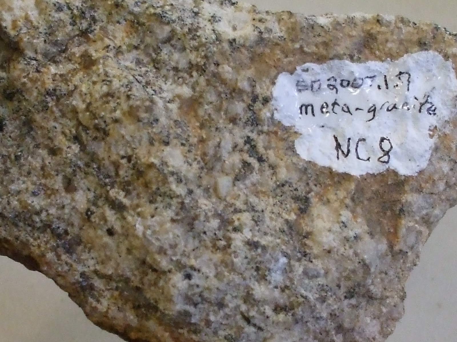 Eggs Come From The Store?: Exotic Carolina Terrane