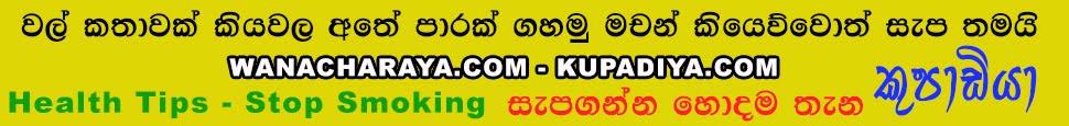 Sinhala Wela | Wal Katha | සිංහල වල්කතා - Kupadiya