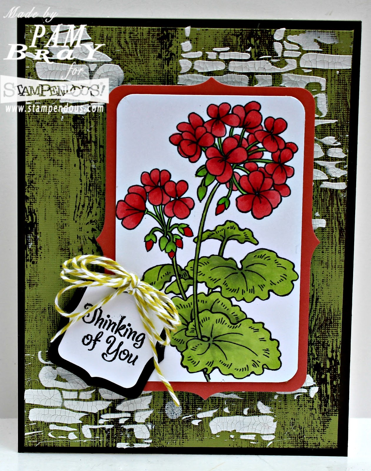 Pam Bray Designs: A Girl with Flair: Geranium Card with Stampendous and ...