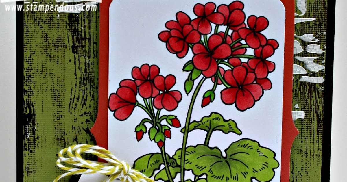 Pam Bray Designs: A Girl with Flair: Geranium Card with Stampendous and ...