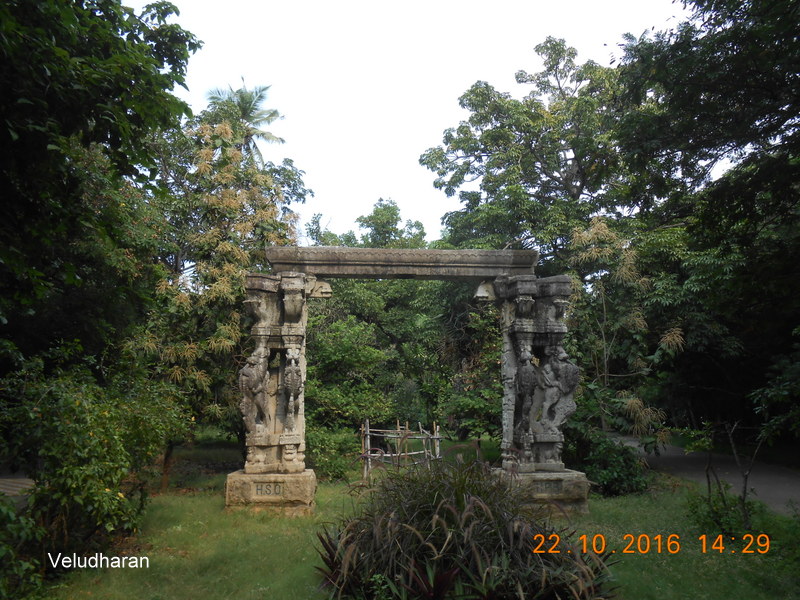 VELUDHARAN TEMPLES VISIT : The Natural Forest, Flora & Fauna, The Great ...