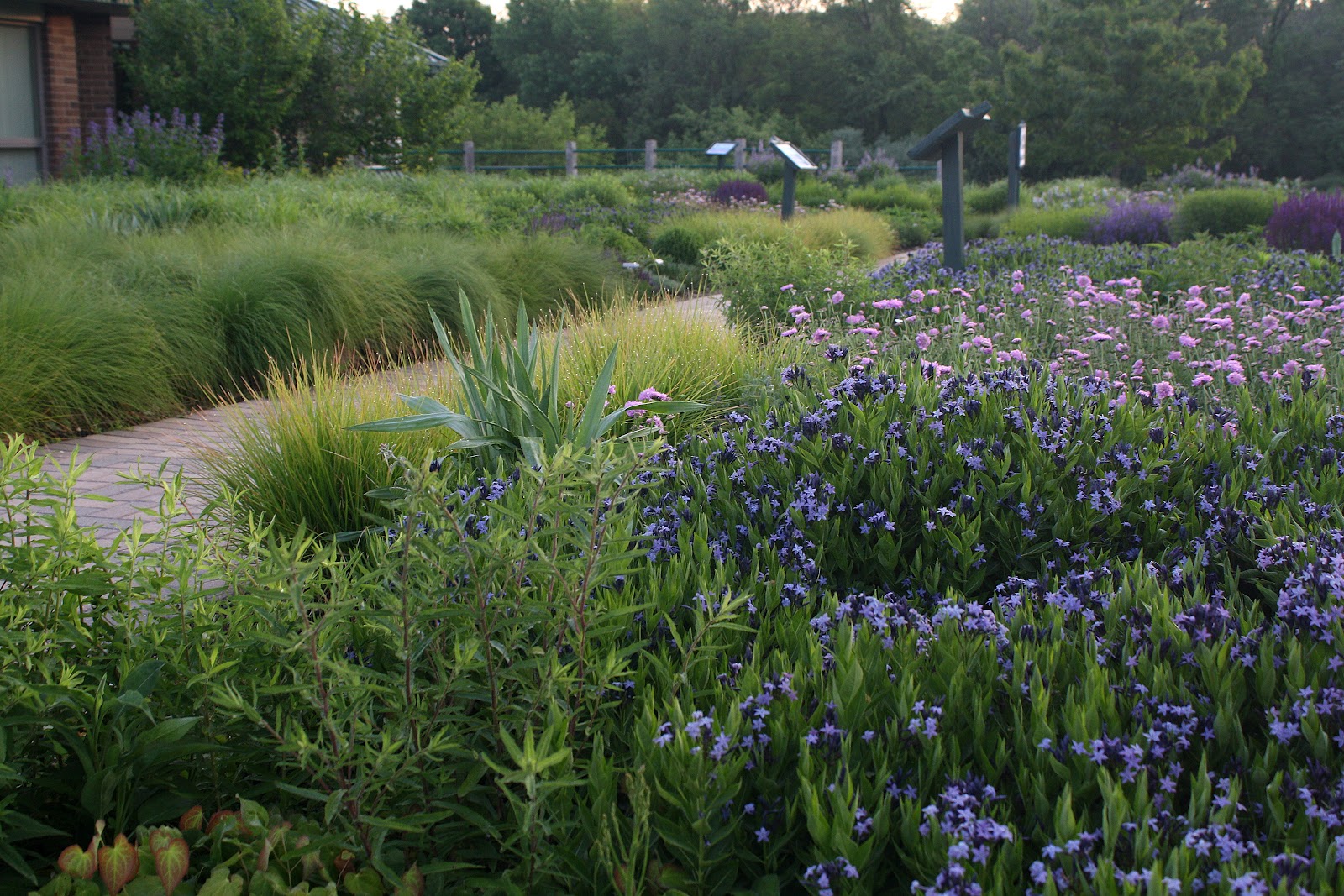 MIDWEST GROUNDCOVERS Display Gardens & Plant Trials: Piet Oudolf ...