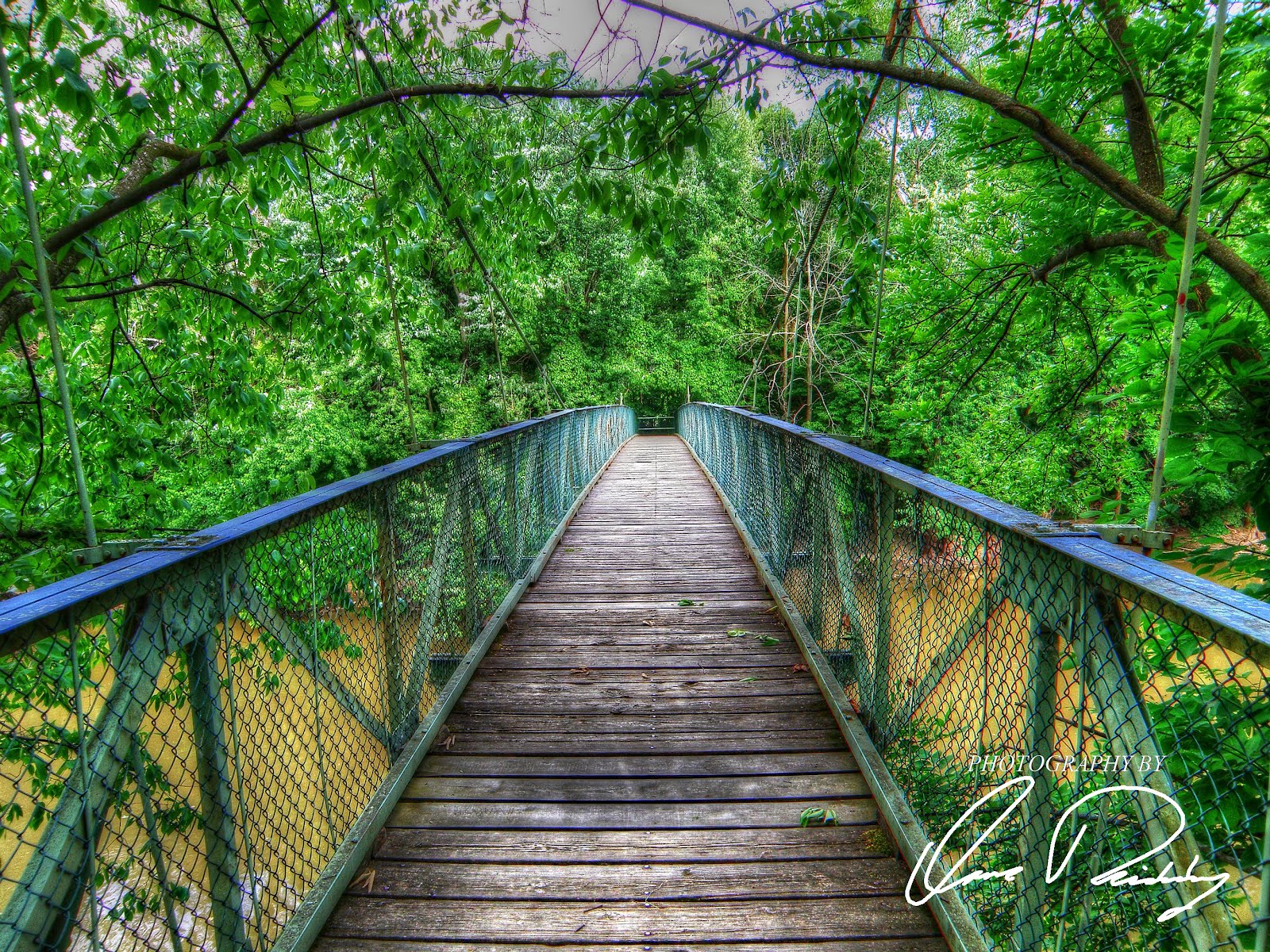 Photography by Issaac Rickenberg: Bridge Over Muddy Water