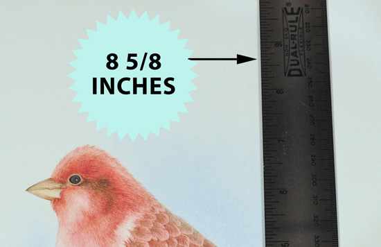 Fierce Girl Design: Let's Frame Something: Measuring