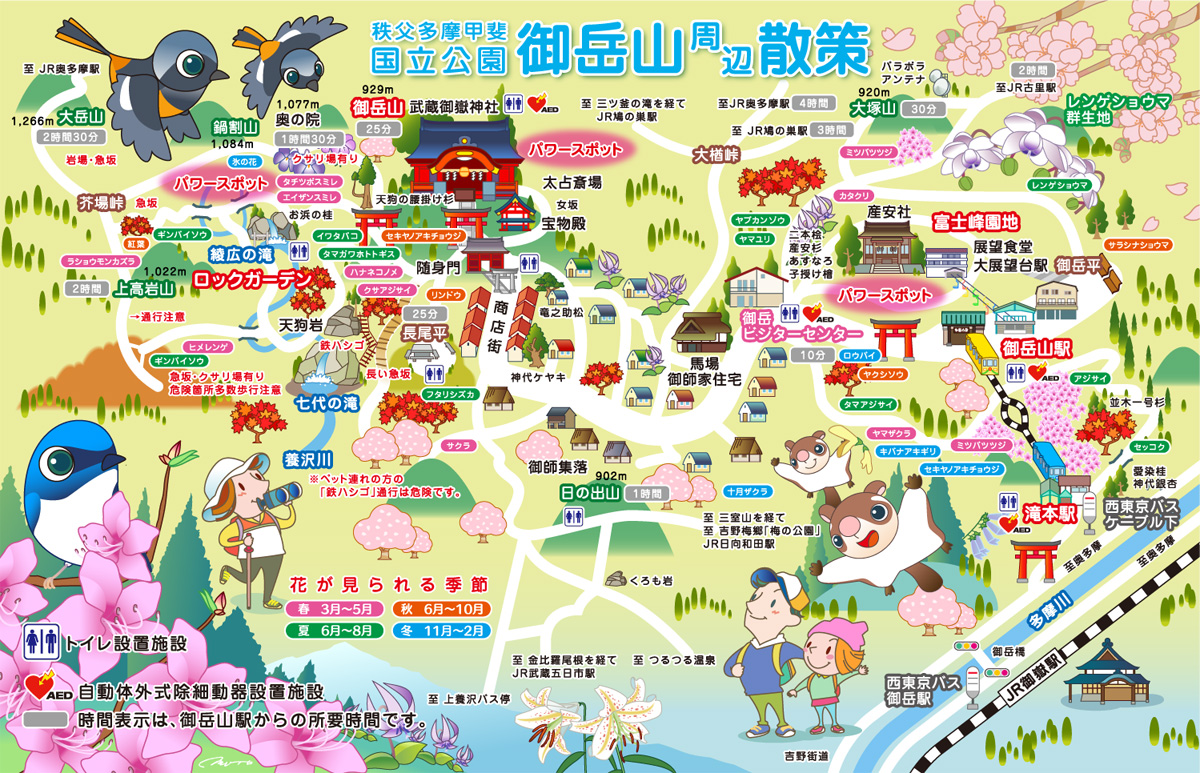 Japón por libre: Que ver en el Monte Mitake