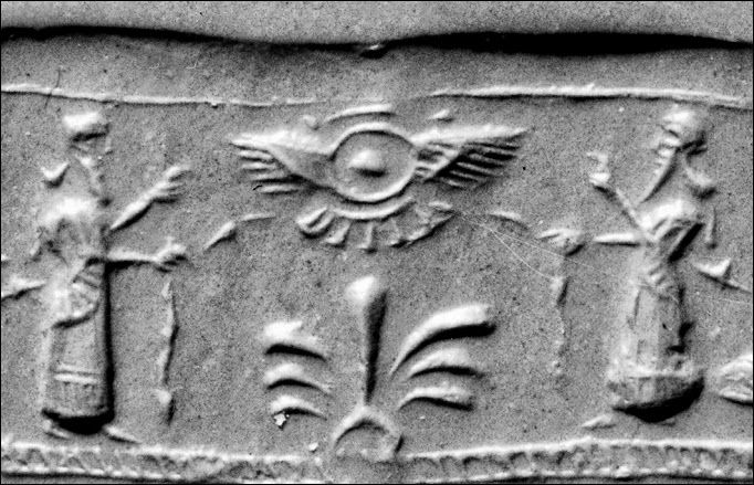 Tree of Life Meaning: Tree Worship History -An Intro