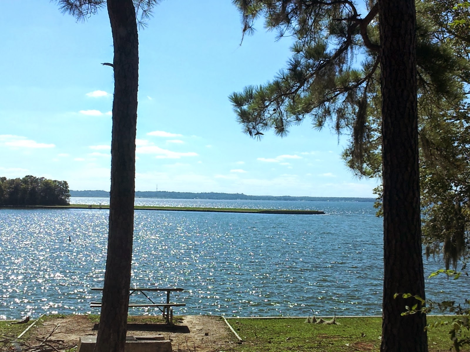 Tales of the Way: Lake Livingston State Park