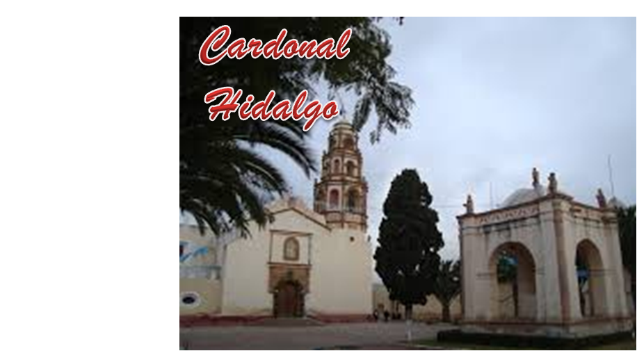 fiestas y tradiciones de cardonal: 2016