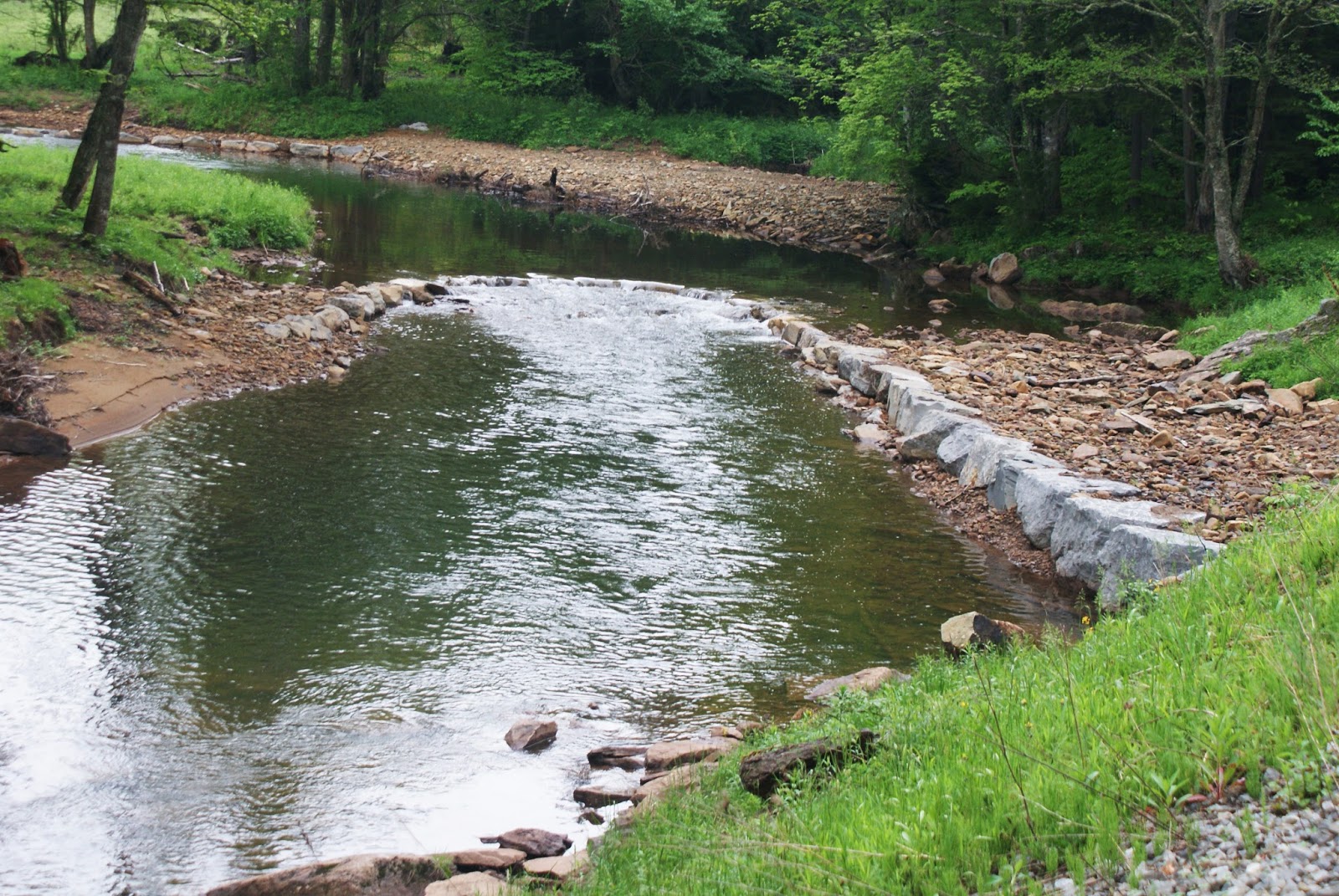 The Search for Native Salmonids: West Virginia Trout Bummin - Back to ...