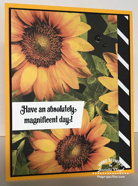 Cre8tive Play: A Magnificent Day!