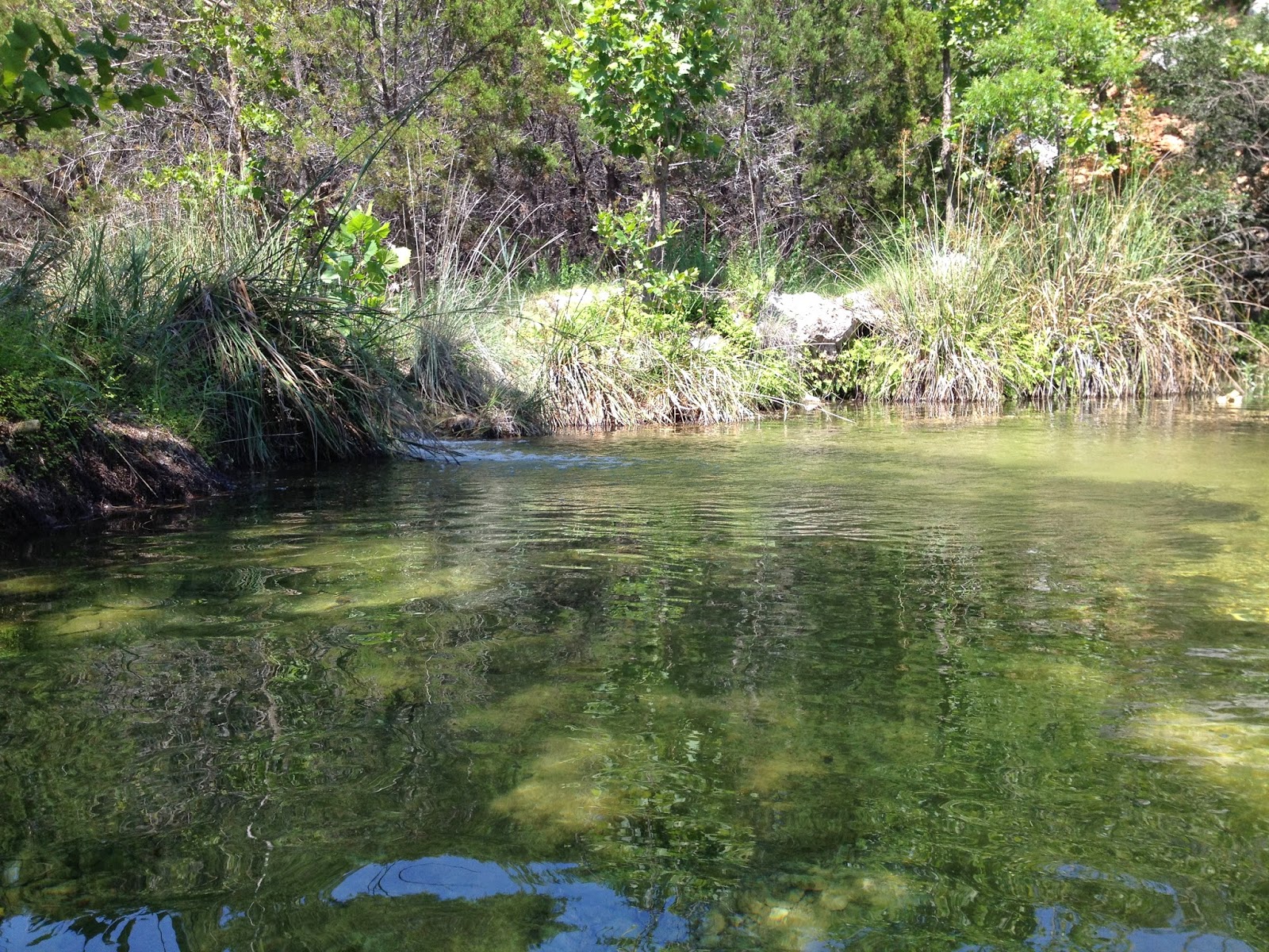 Somewhere In The Middle of Texas: Texas Rainforest
