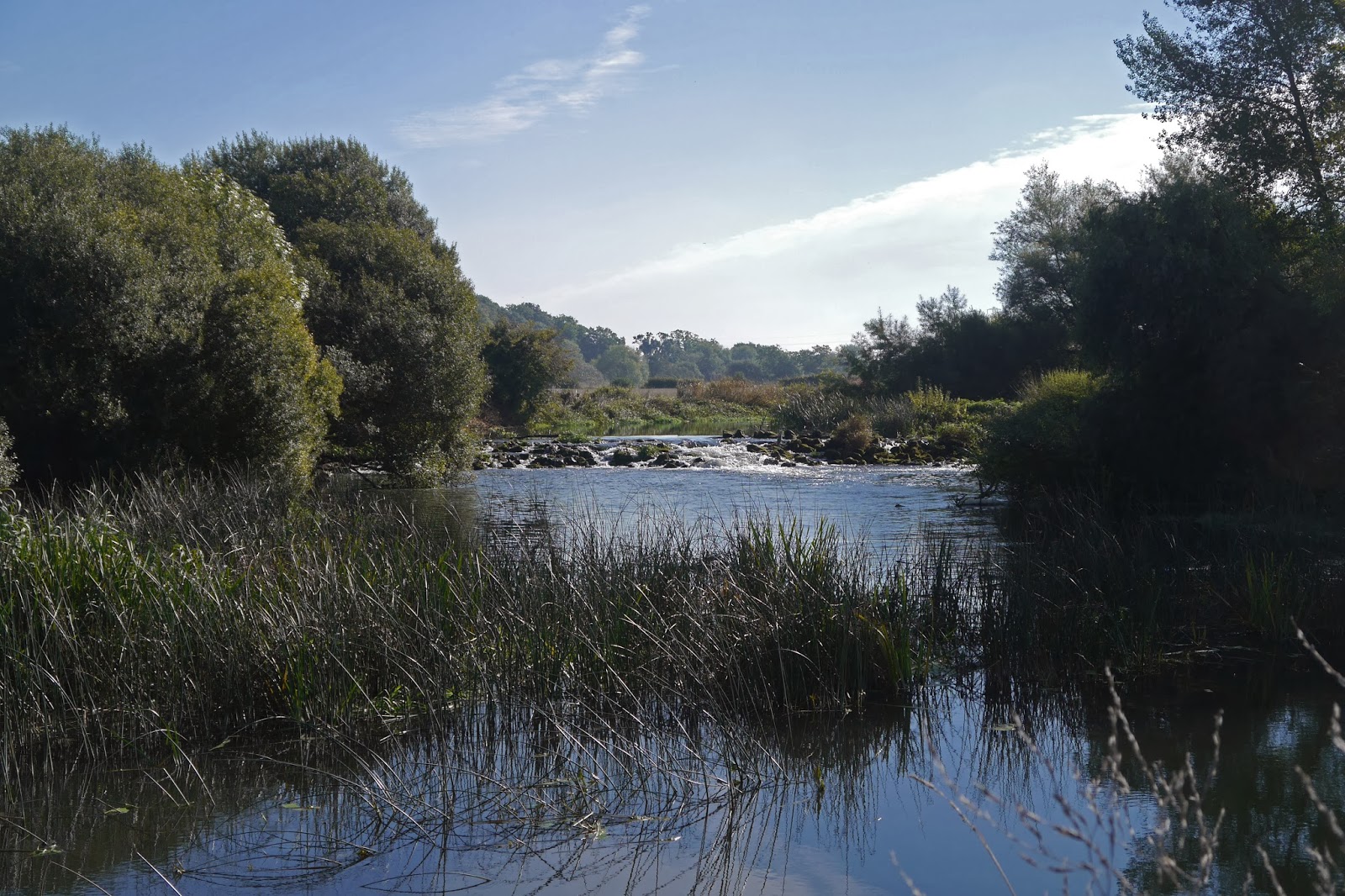 Walking in the country: West Parley to Wimborne (Willett Road) (Stour ...
