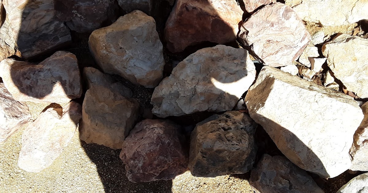 Oddball Observations : CATALYST ON THE ROCKS