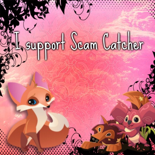 Scam Catcher: Banners and Graphics