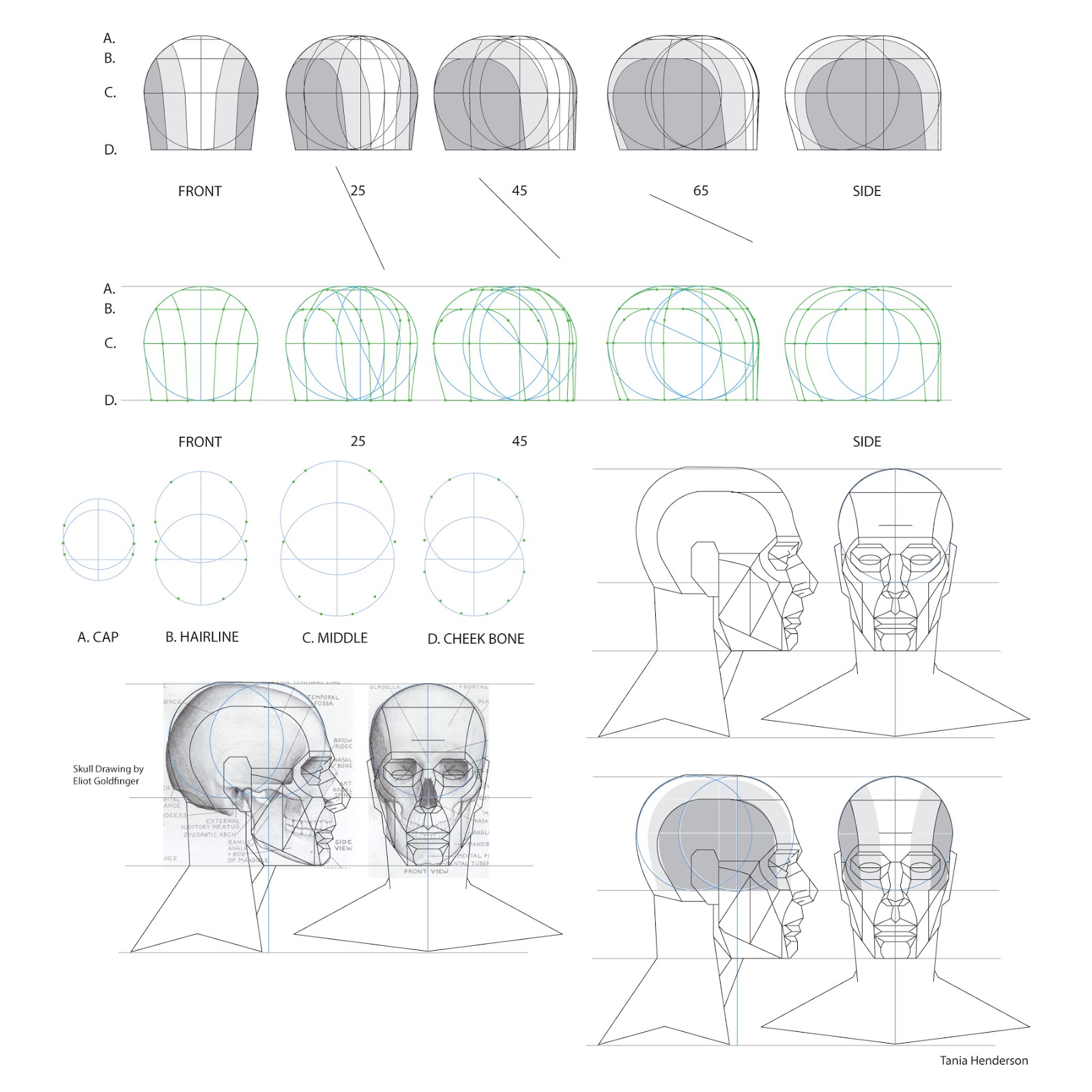 Draw Speak: Head Turn Breakdown 1