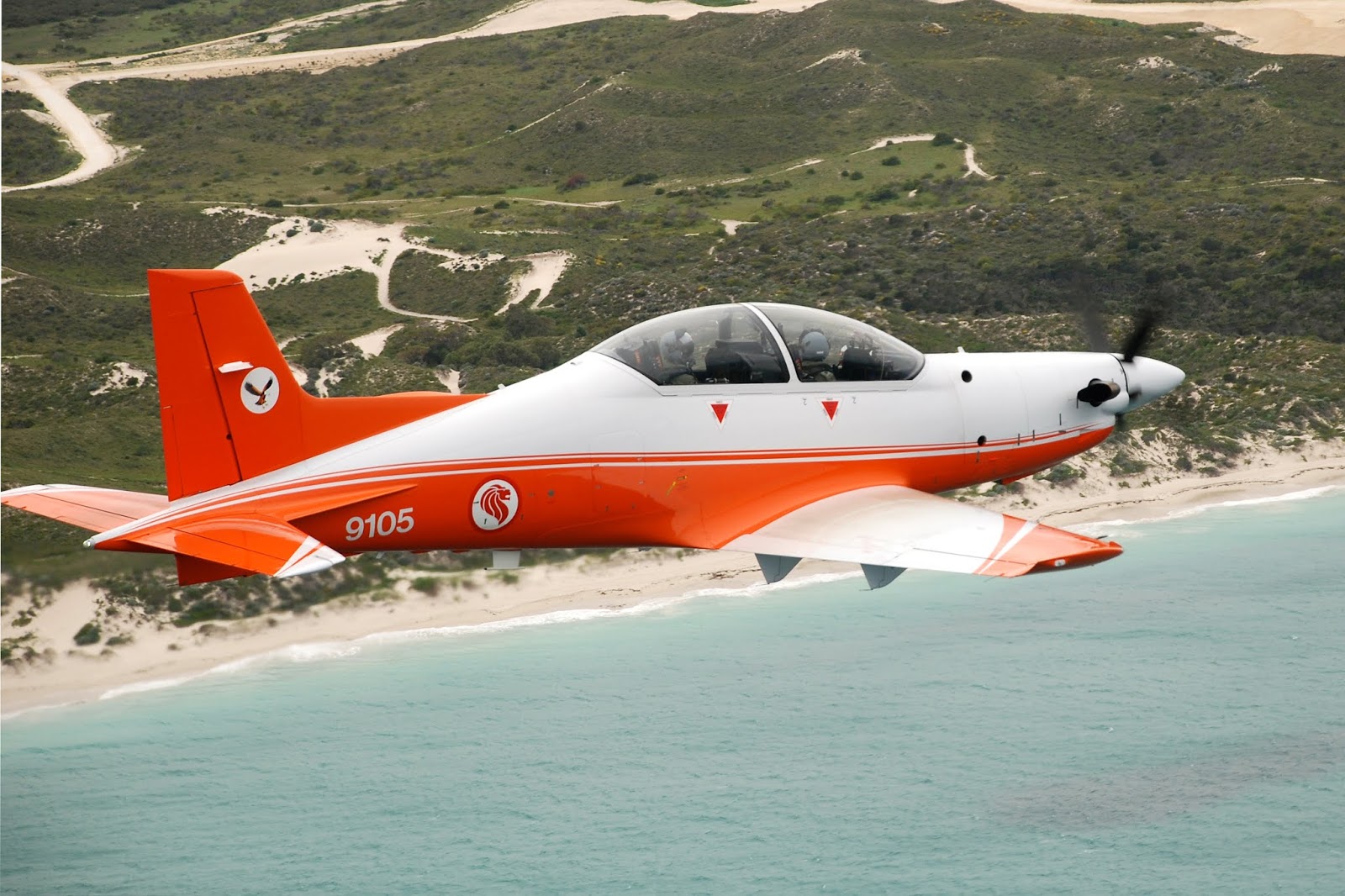 Senang Diri: Overlooked at the RSAF 50th anniversary flypast at the ...