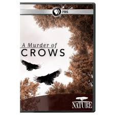 MAGYAR AMERICAN: A MURDER OF CROWS : NATURE FILM