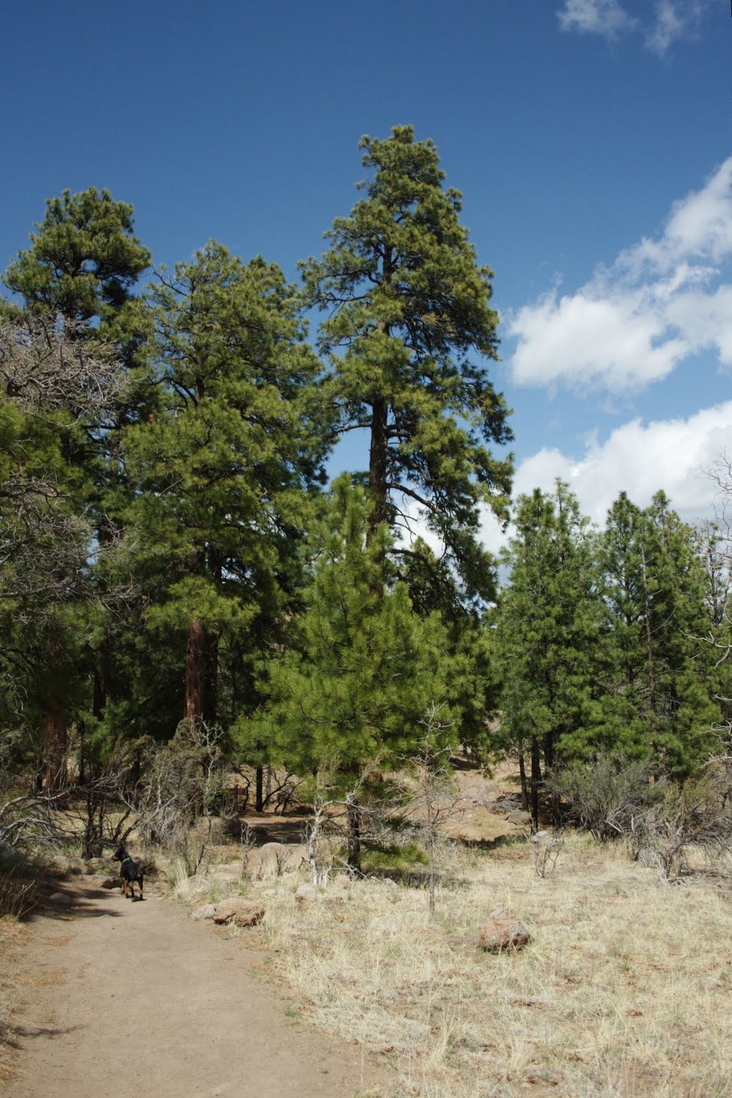 A Day In the Life Of: Fat Man's Loop, Flagstaff, AZ