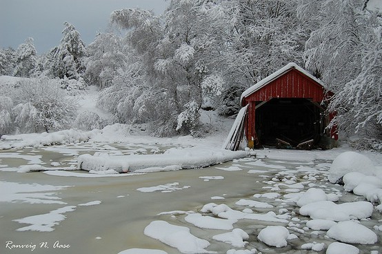 NANA DIANA TAKES A BREAK: Jumping Into January With Both Feet