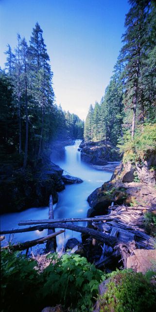 great images: Silver Falls Trail - Mount Rainier National Park, Washington