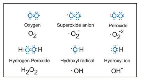 Reactive Oxygen Species Formation: Pros and Cons