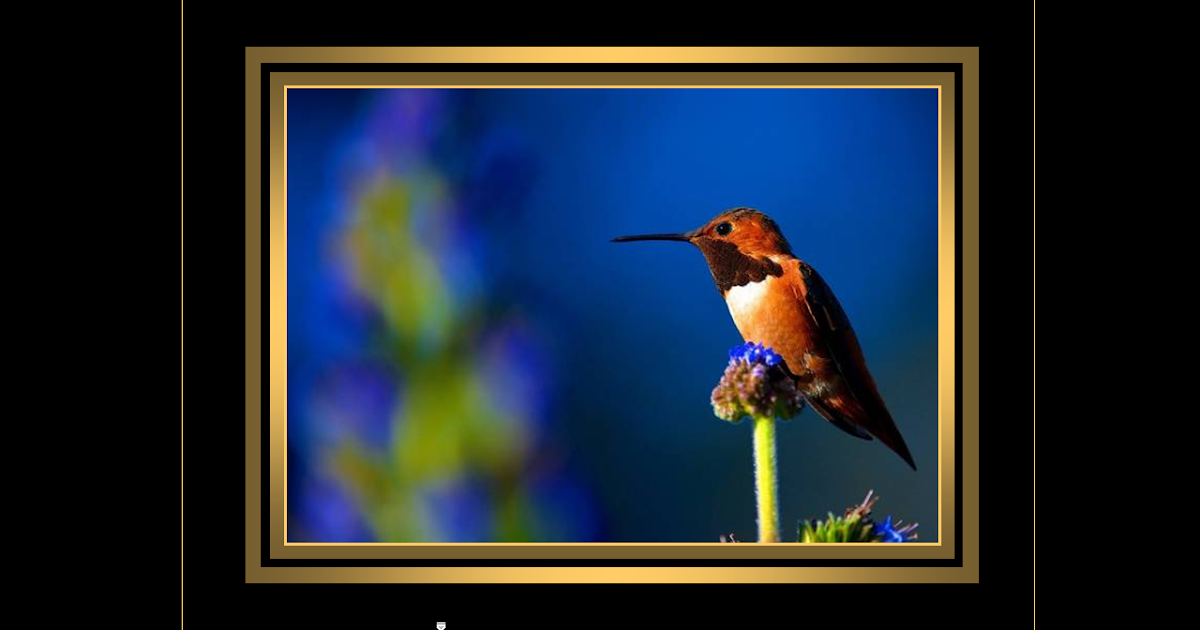 PPS-DIAPORAMA: THE GUARANI LEGEND OF THE HUMMINGBIRD (YOLANDA VARGAS)