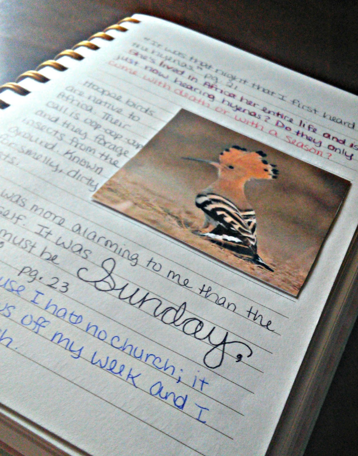 The Left-Handed Typist: The Art of Book Journaling