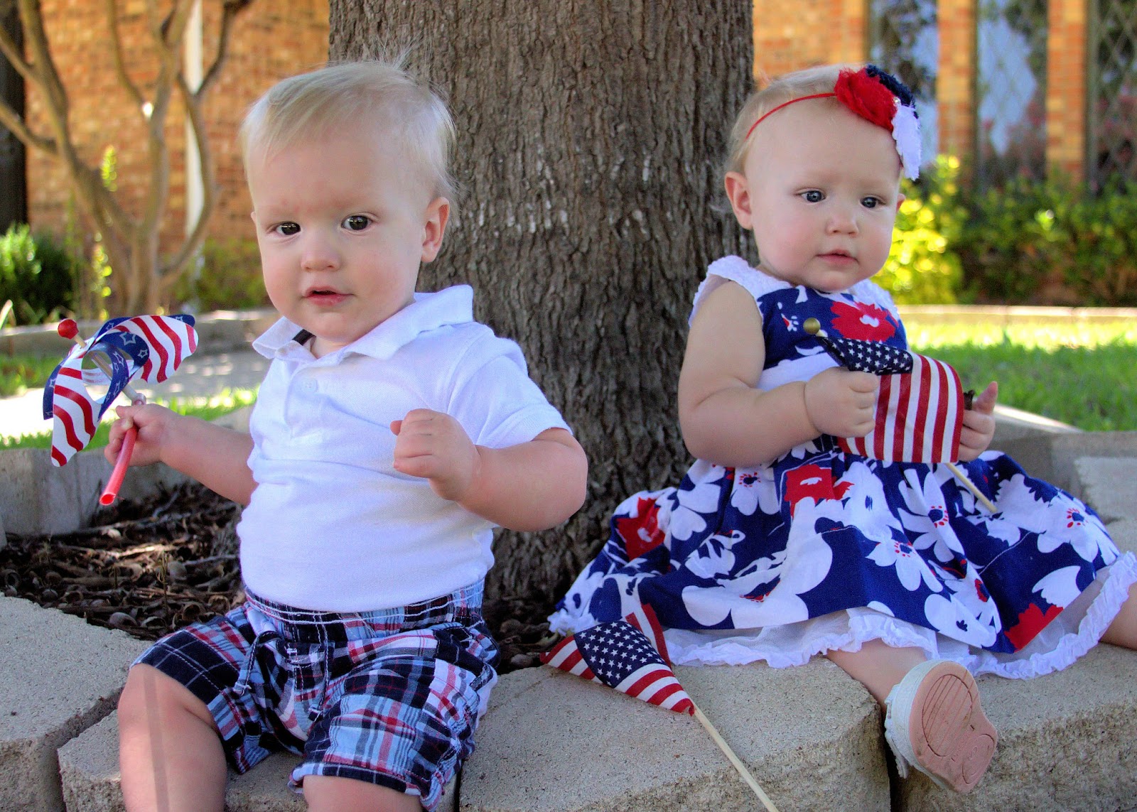 Life as a Ham: All American Babies
