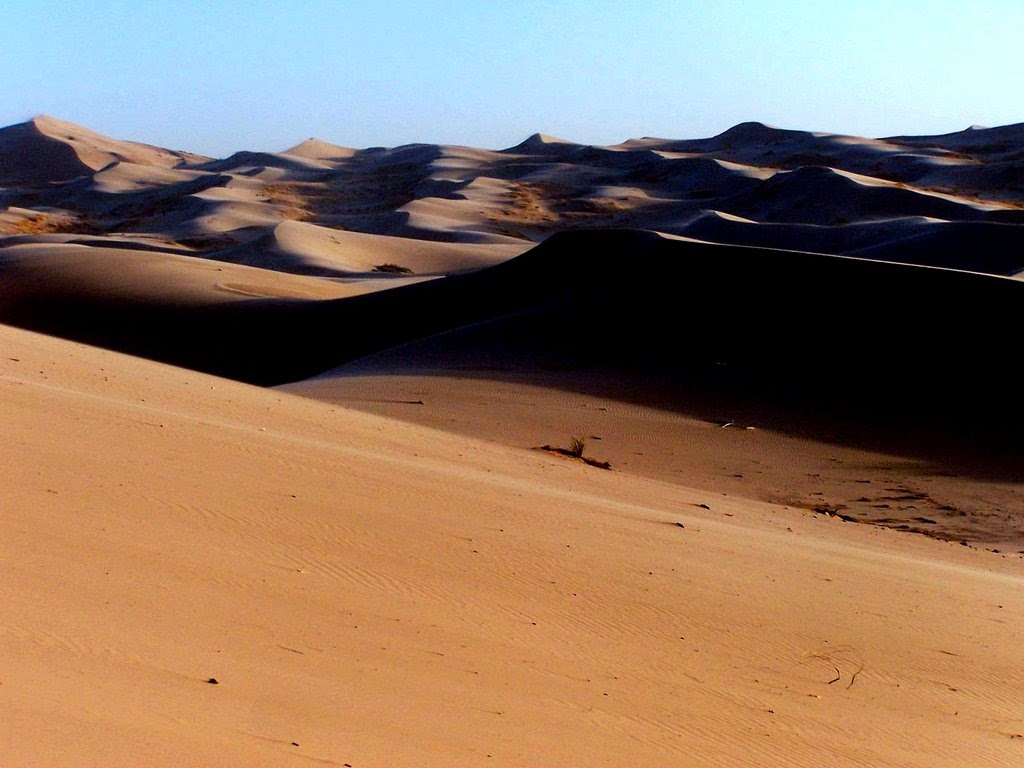 Dunas de Samalayuca, Chihuahua
