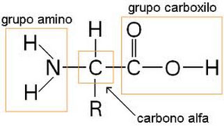 quimica 1, carlos valdes: marzo 2016