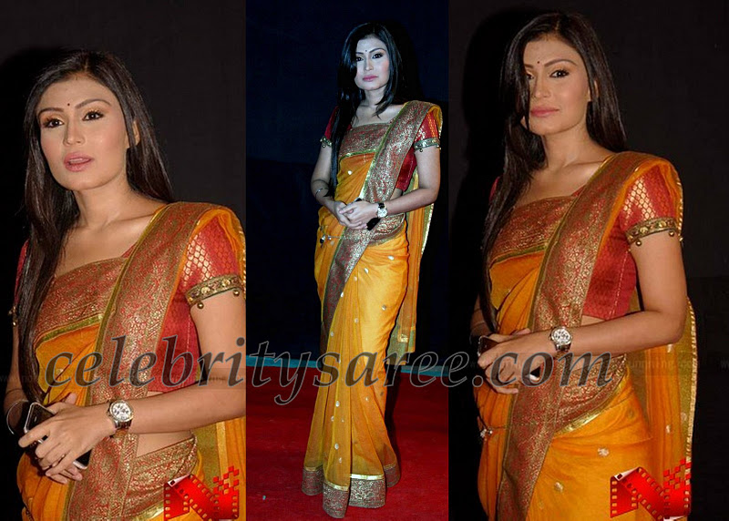 Simran Kaur in Yellow Netted Sari - Saree Blouse Patterns