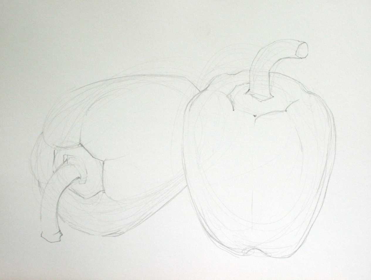 NAMIL ART: [drawing step by step] Drawing a Paprika - Basic Pencil ...